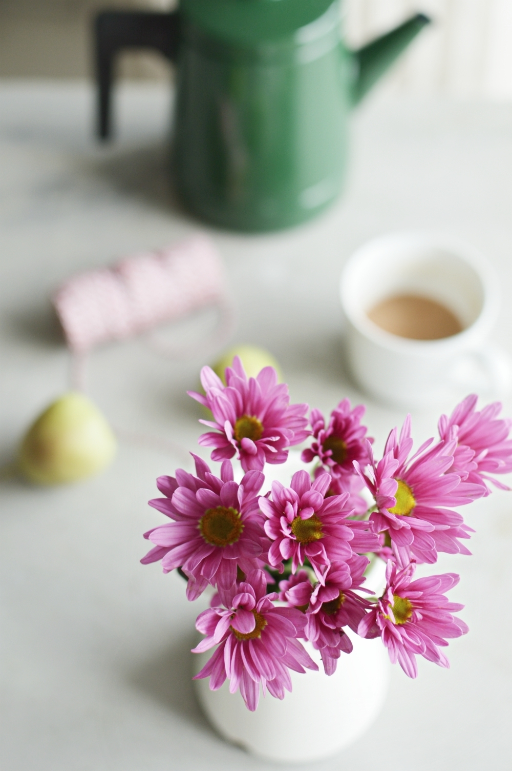 How to keep flowers fresh with simple and tricks that you ceasily do