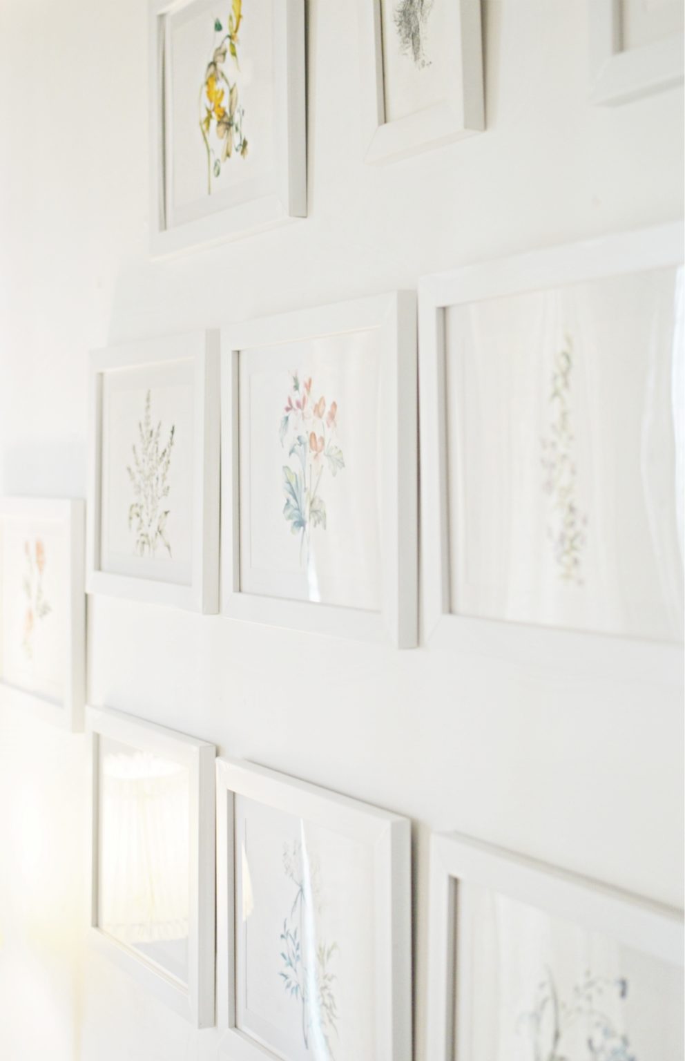 botanical gallery wall and how to do it like pro on budget